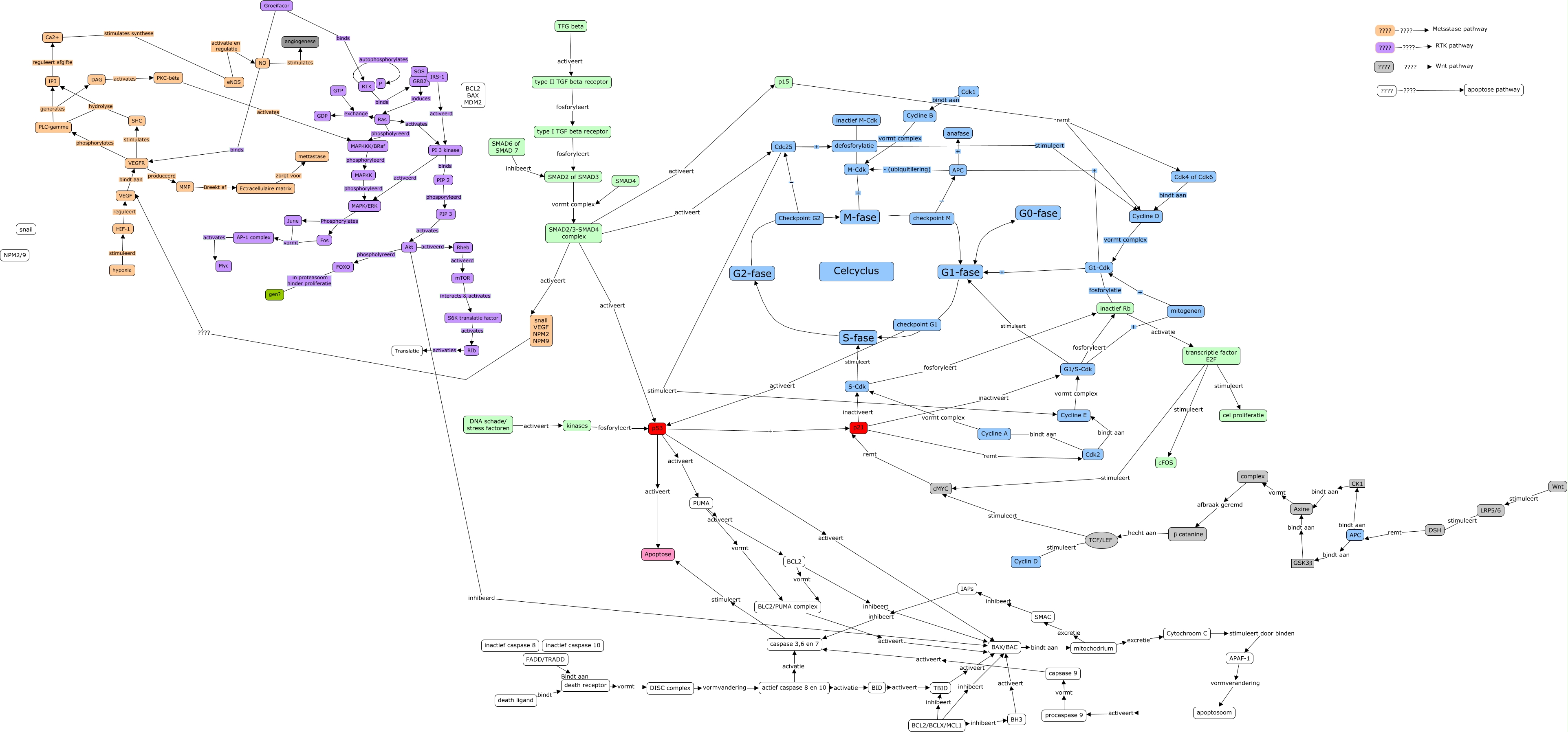 meatastase pathway